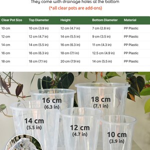 Rippled Ribs Tall Decorative Plant Pot 4", 5", 6", 7" Tall Clear ...