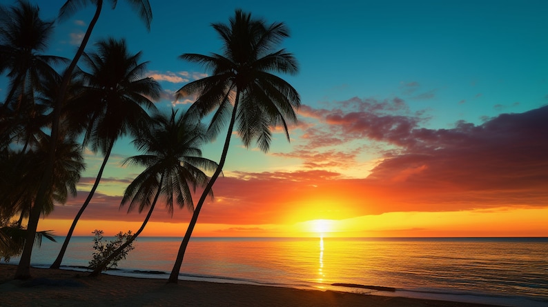 Tropical Zoom Background Office Pack for Virtual Meetings - Etsy