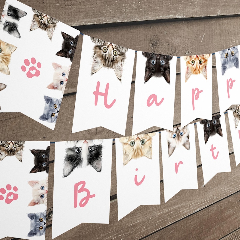 Cat Banner - Etsy