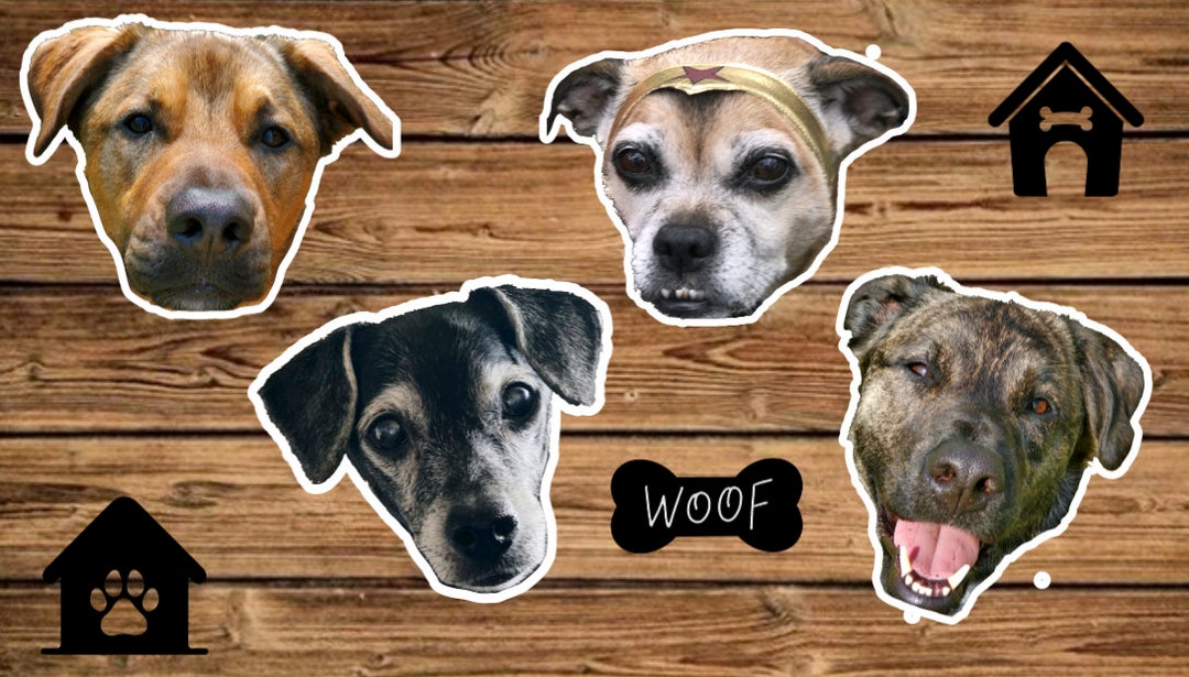 4 Pack Custom Pet Sticker | Custom Photo Sticker | Personalized Pet ...