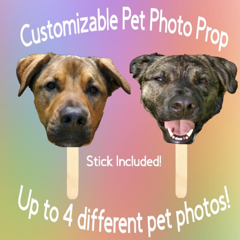 Pet Photo Prop - Etsy