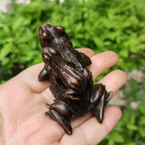 Copper Frog Statue Fengshui Decor, Brass Fengshui Mother and Child Toad ...