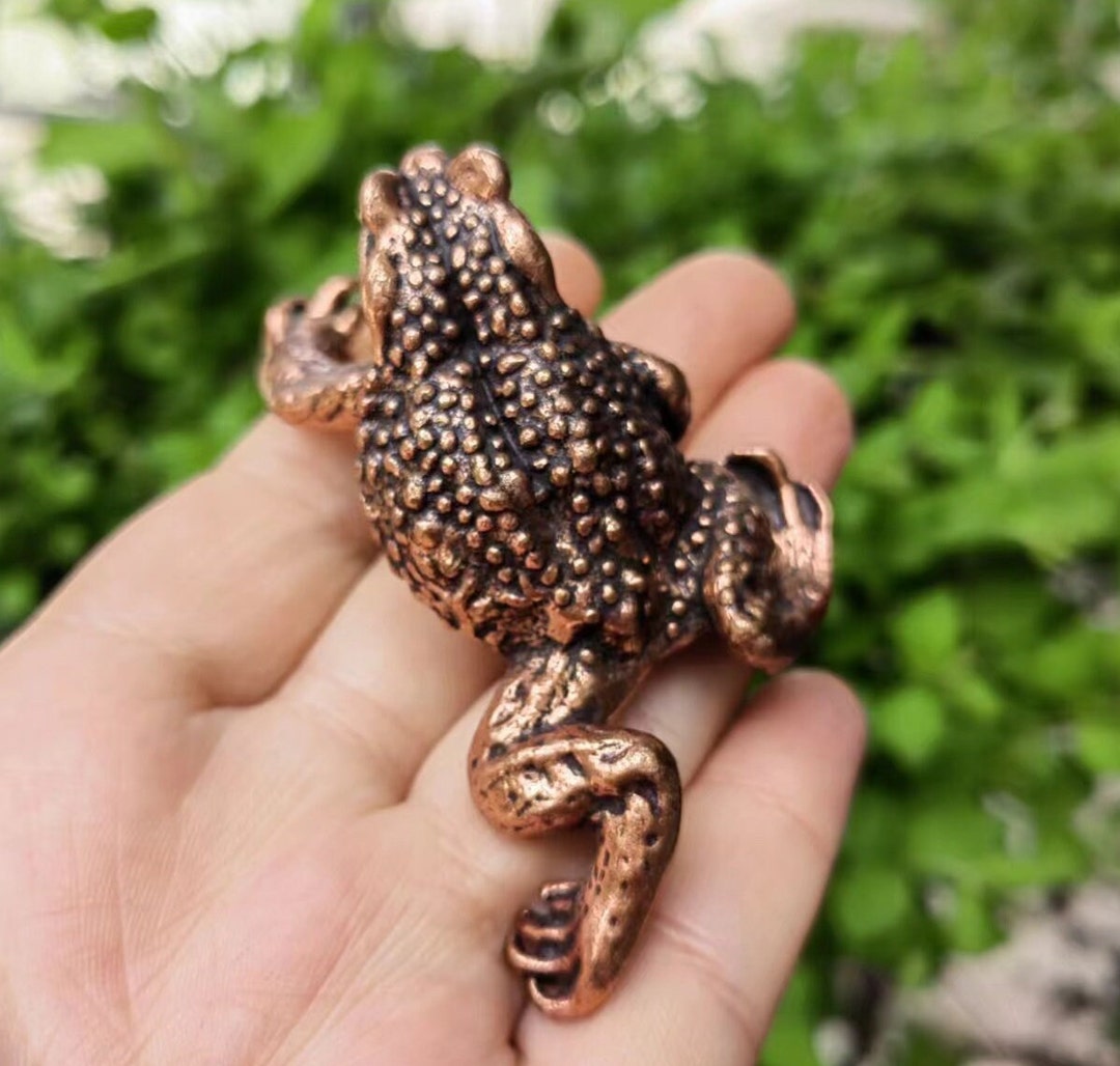 Brass Feng Shui Royal Toad Statue Luck & Success Home Décor Sculpture ...
