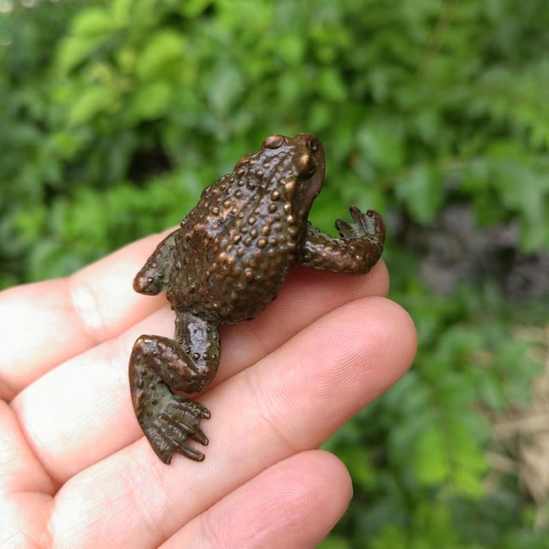 Brass Fengshui Royal Toad Statue Luck & Success Home Décor Sculpture Gift Lucky Mini Frog Toad ...