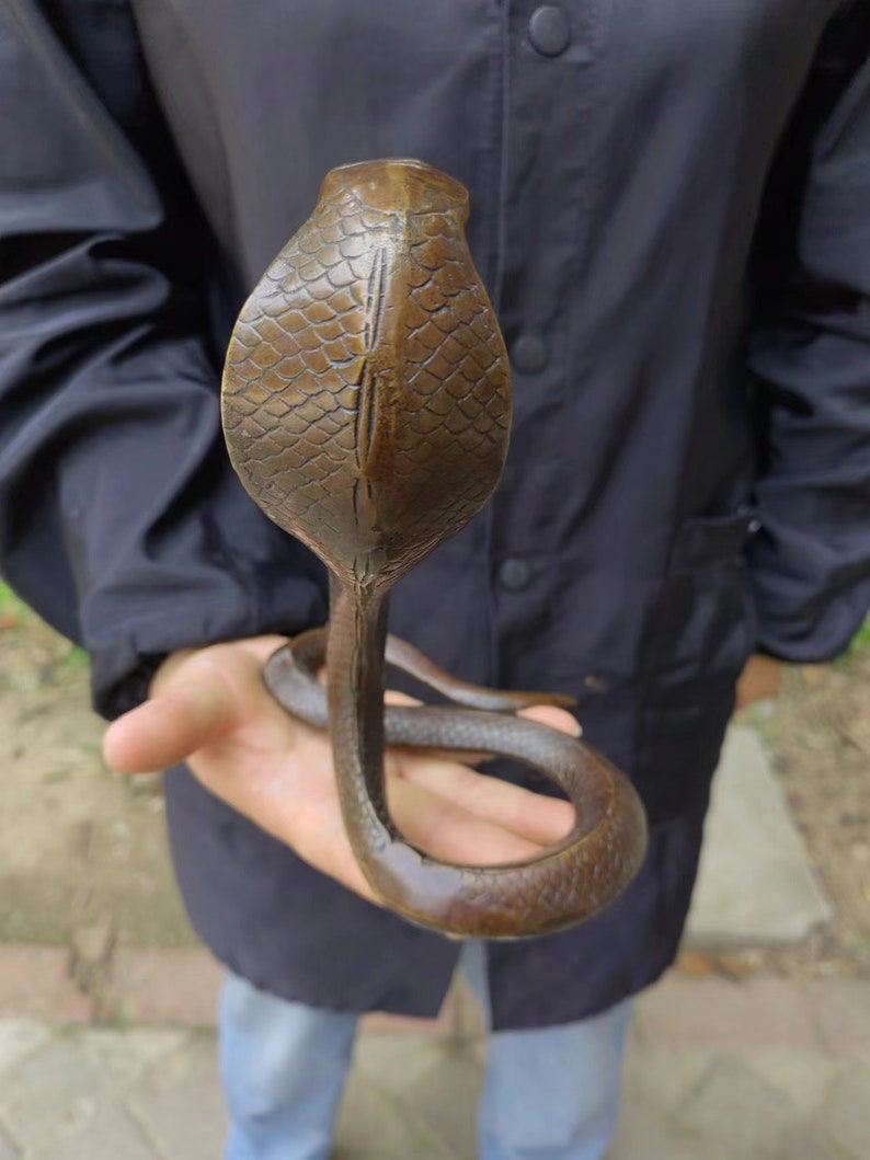 Copper King Cobra Statue, Coiled Snake Figure, Egyptian Zodiac Decor - Etsy