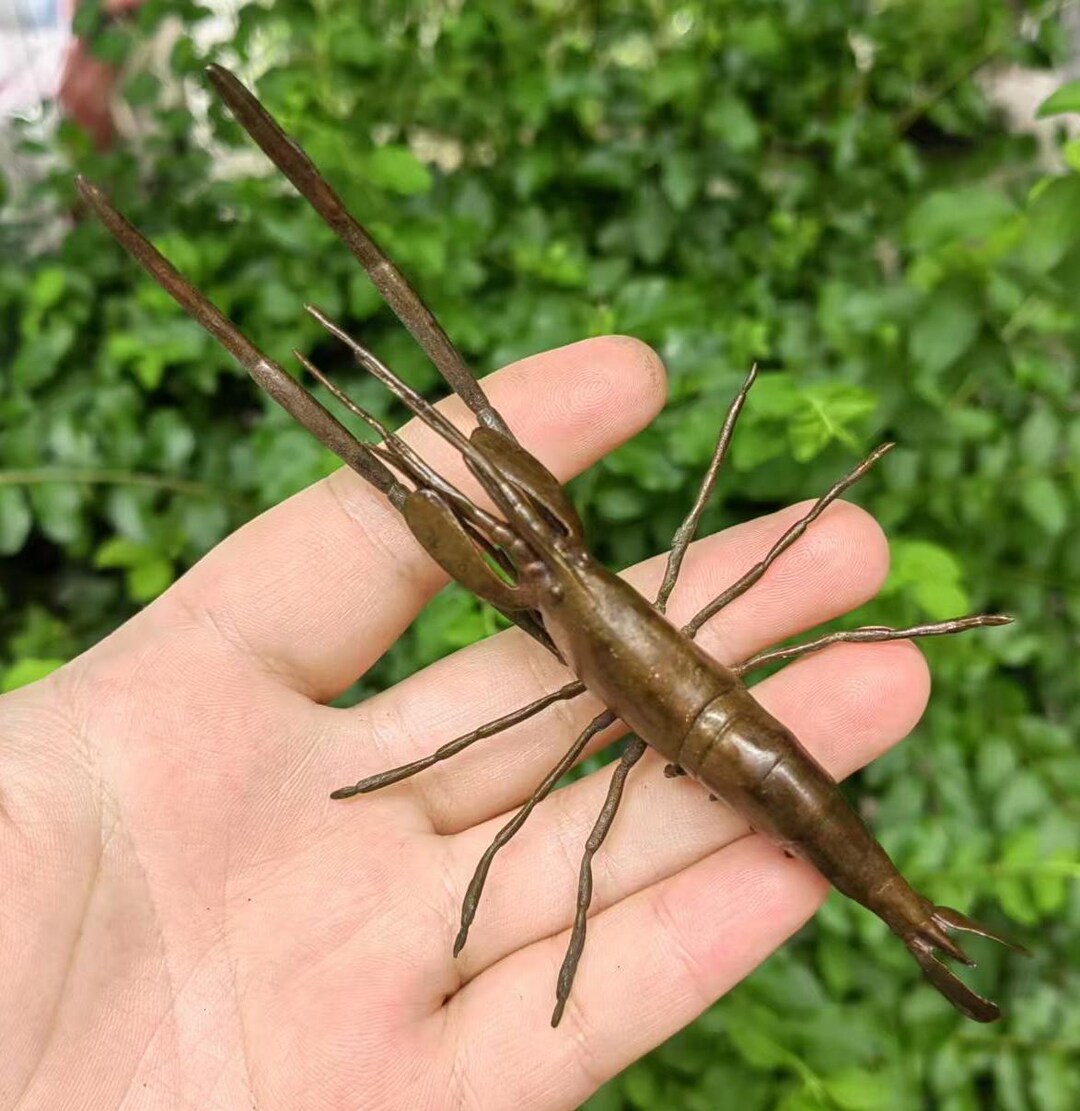 Copper Shrimp Figure Japanese Antique Vintage Patinated Metal Sea ...
