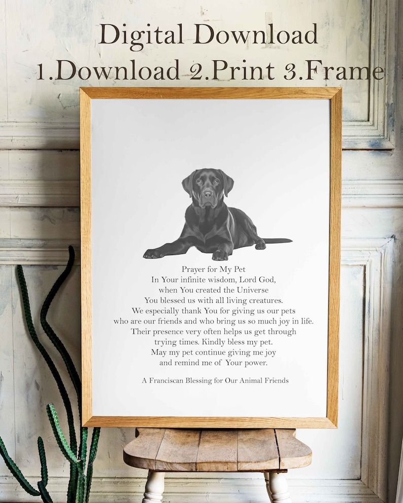 Franciscan Blessing for Pets Digital Download Catholic Prayer Print ...