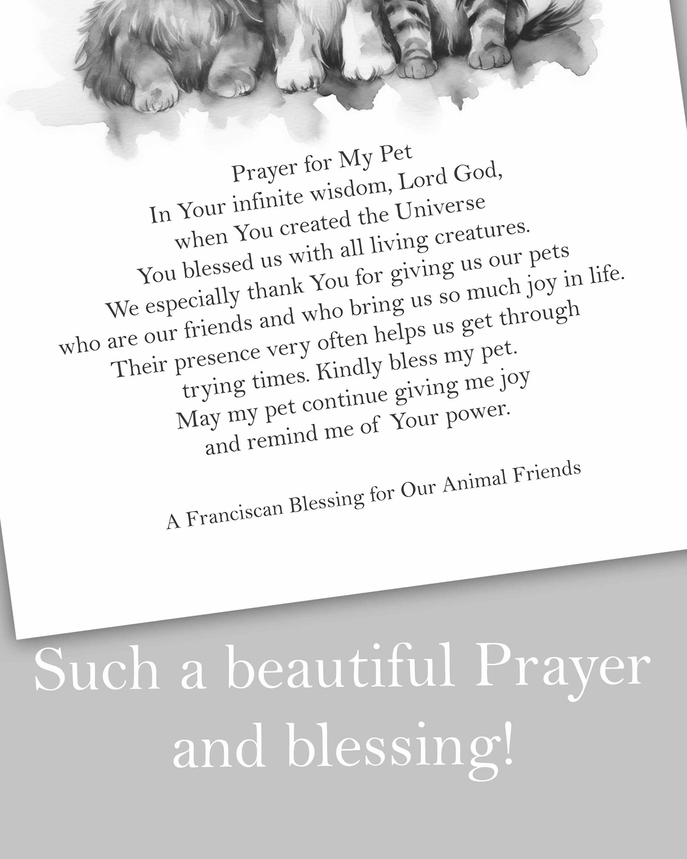 Franciscan Blessing for Pets Digital Download Catholic Prayer Print ...