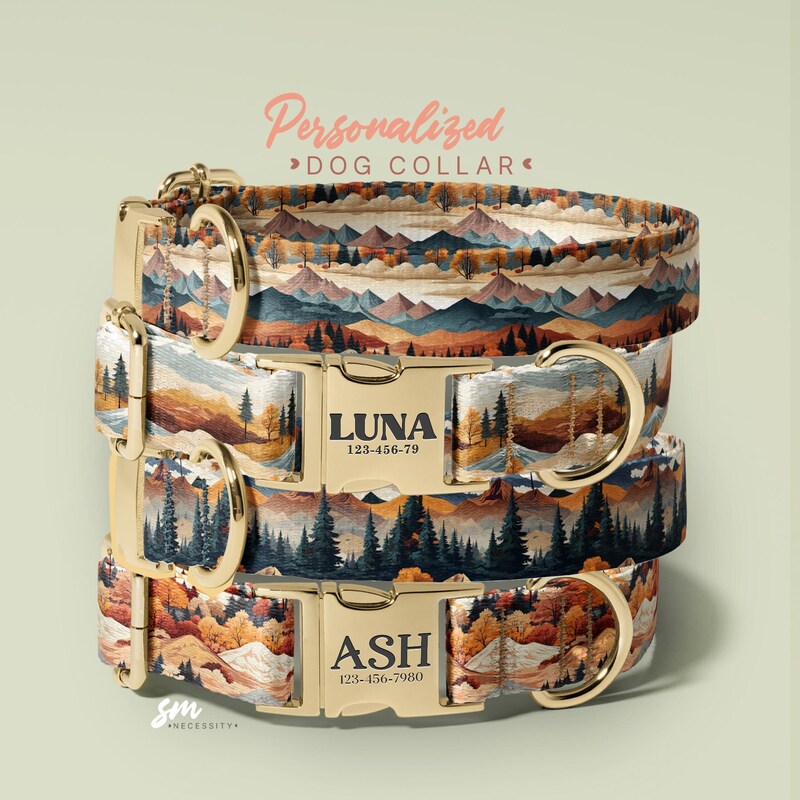 Unique Dog Collar - Etsy