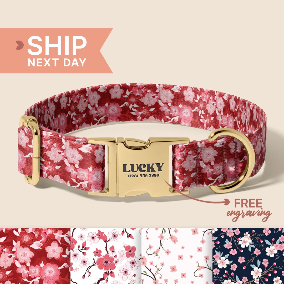 Sakura Dreams Dog Collar - Personalized Dog Collar - Cherry Blossom Dog ...