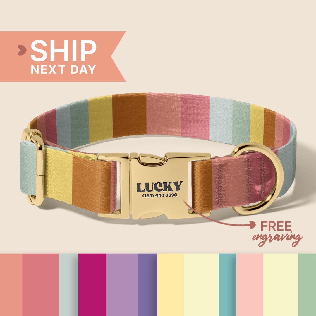 Striped Dog Collar With Name - Personalized Collars for Small Medium ...