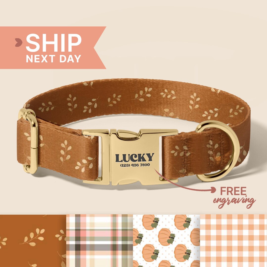Halloween Plaid Dog Collar, Trick or Treat Dog Collar, Pumpkin Spice ...
