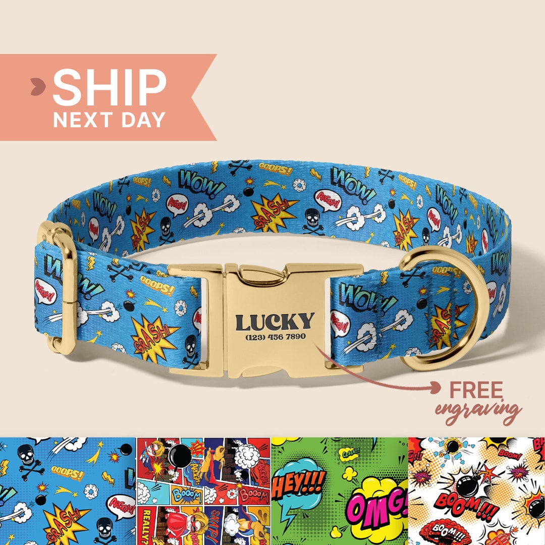 Funny Dog Collar With Leash, Customizable Gift for Dog Lover, Male Dog ...