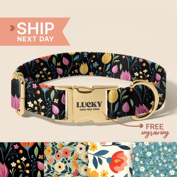 Fun Dog Collar - Etsy