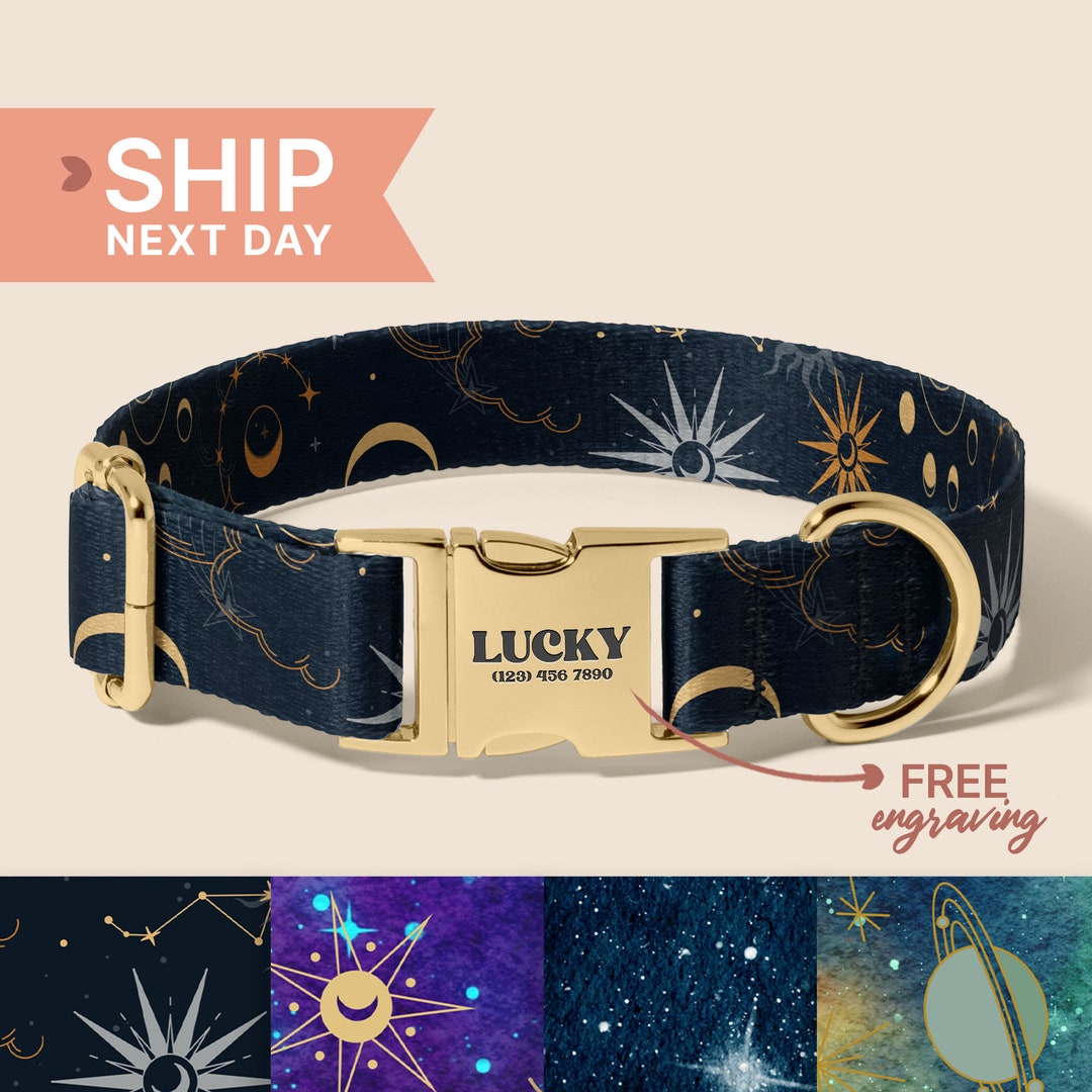 Personalized Dog Collar, Custom Dog Name Collar, Collar for Small to ...