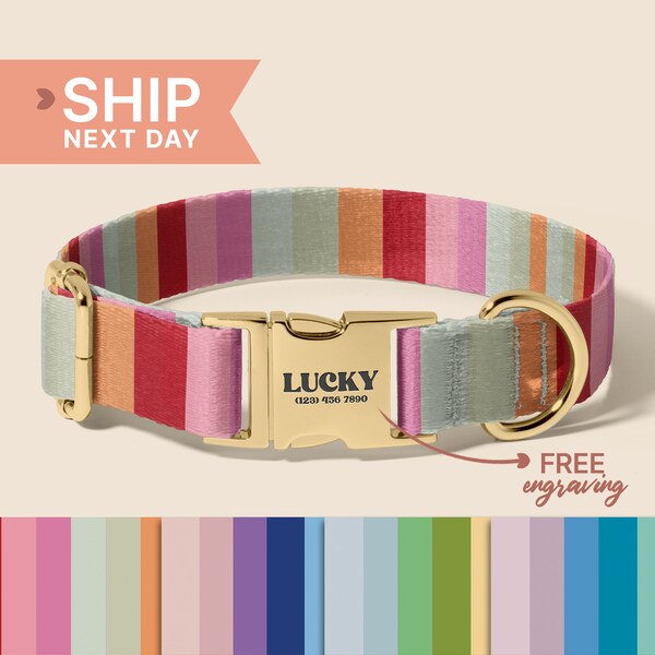 Personalized Striped Dog Collar - Etsy