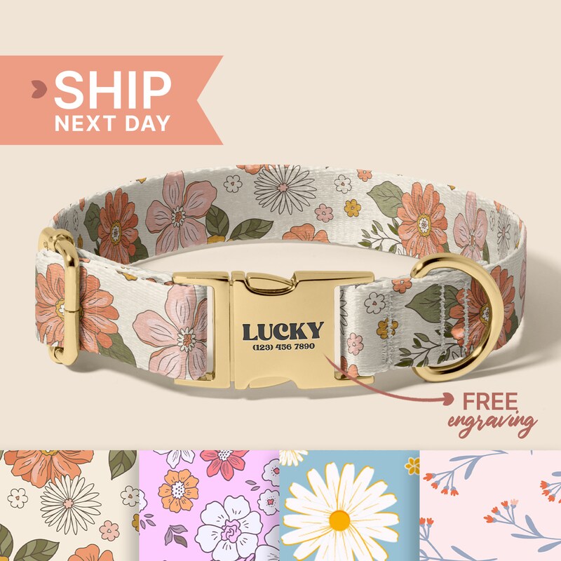 Dog Collars - Etsy