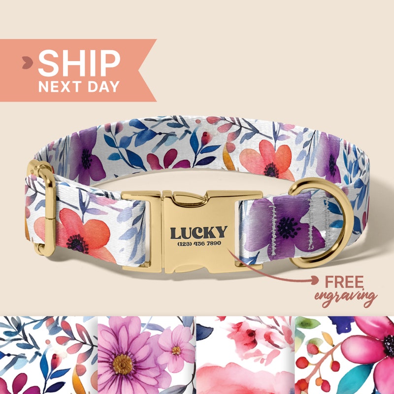 Custom Pet Collar - Etsy