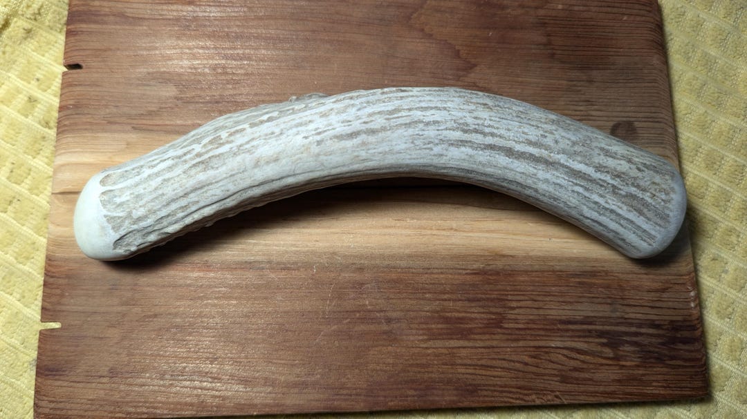 Large Deer Antler Billet - Flint-knapping Tool - Knapperdan Signature Series - Etsy