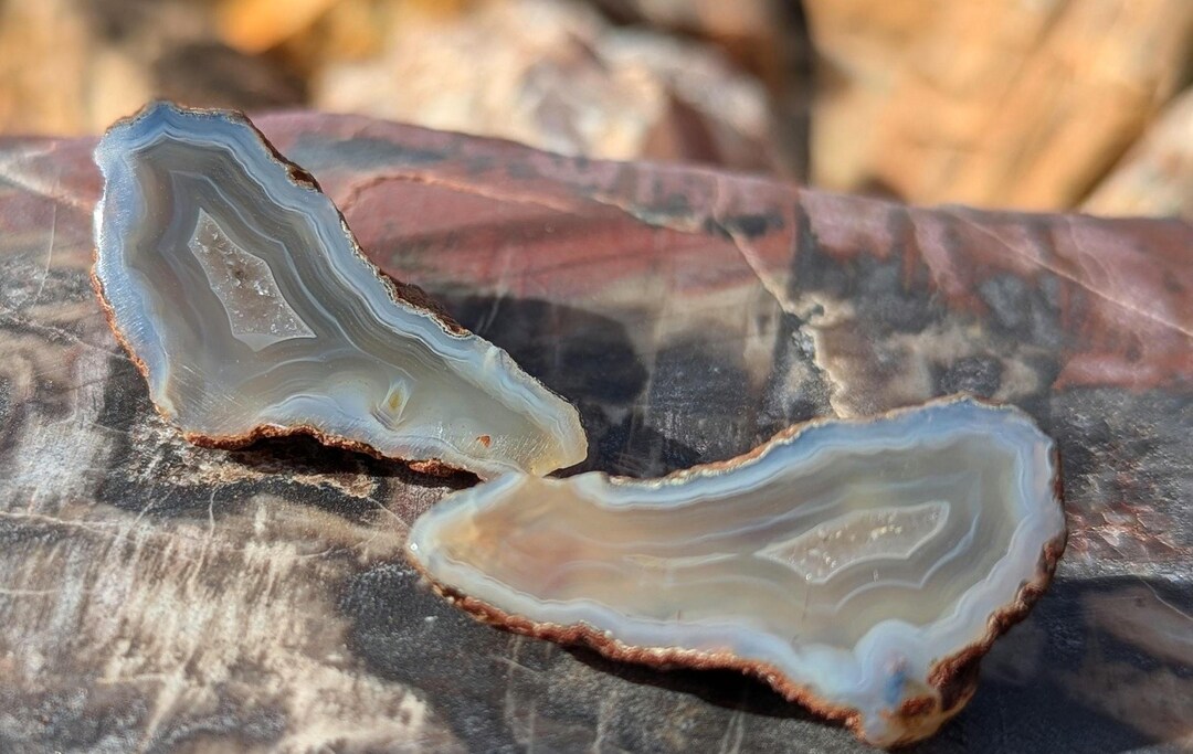 Malawi Agate Nodule Halves - Matching Pair - Etsy