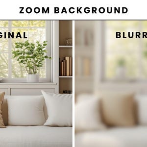 Zoom Background With Bookshelves, Home Office Bookshelf Backdrop ...