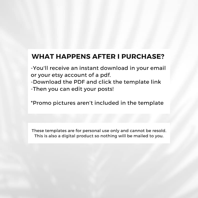 Pink Influencer Rate Card | Rate Sheet | UGC Creator Price List | Price ...