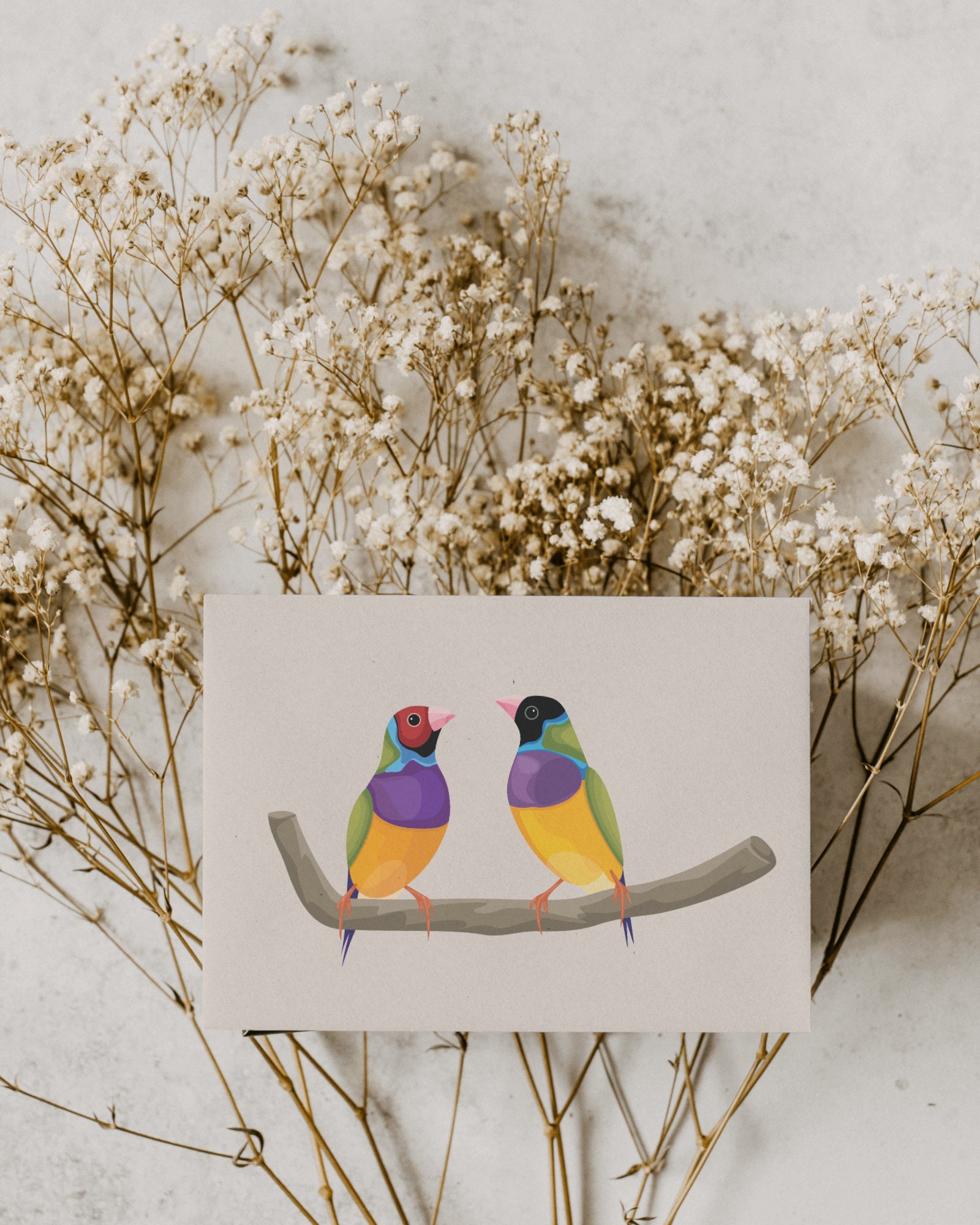 Gouldian Finch Clipart, Printable Sticker, Instant Download, Rainbow ...