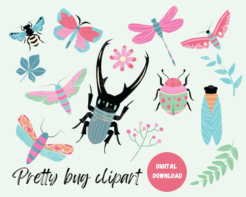 Pretty Bug Clipart Pngs Cute Bug Clipart Insects Cicada - Etsy