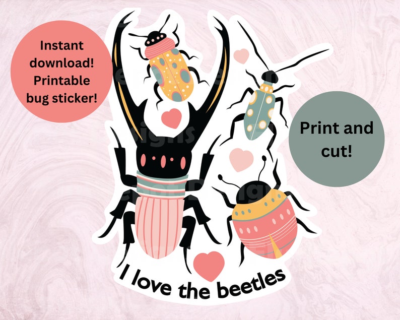 Cute Beetle Printable Sticker, Hi-res PNG, Instant Download, Bug Lover ...