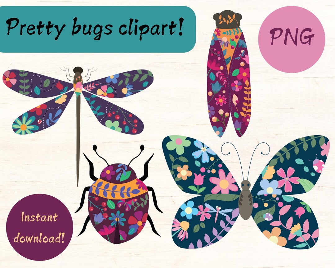 Pretty Bug Clipart, Pngs, Cute Bug Clipart, Insects, Cicada, Moth ...