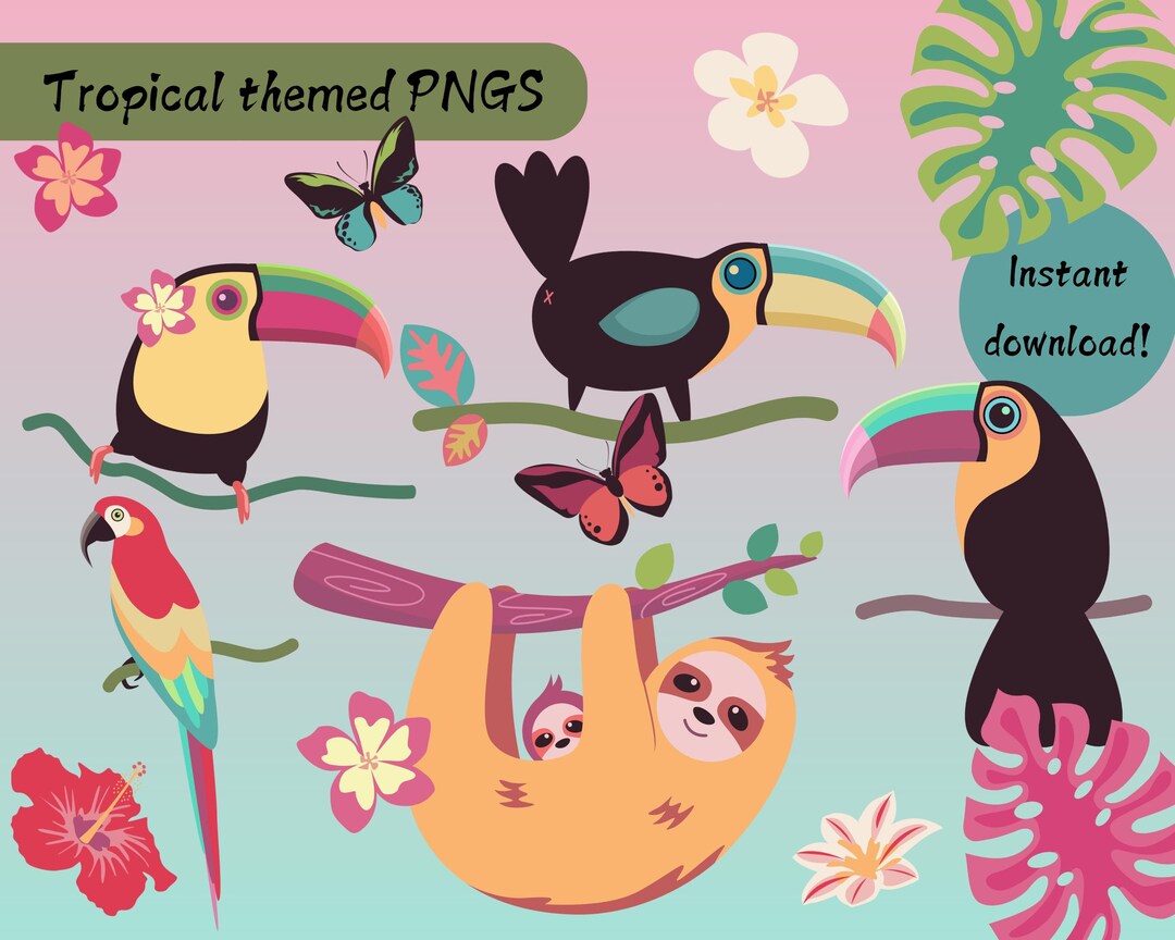 Tropical Clipart, Pngs, Cheeky Toucan, Cute Sloth PNG, Toucans, Macaw ...