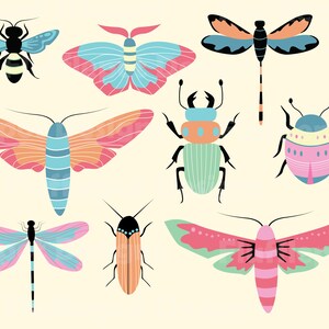 Pretty Bug Clipart, Pngs, Cute Bug Clipart, Insects Clipart, Moth, Bee ...