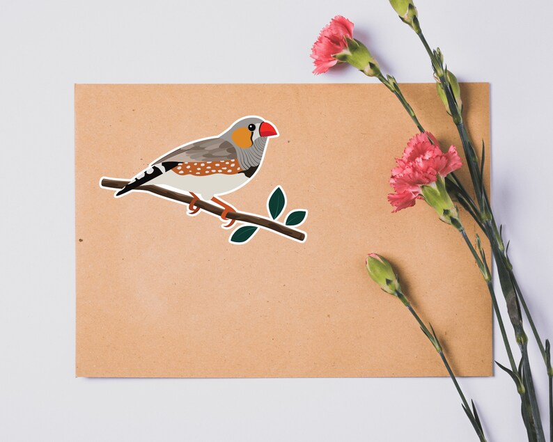 Zebra Finch Clipart, Printable Sticker, Instant Download, Australian ...
