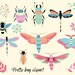 Pretty Bug Clipart, Pngs, Cute Bug Clipart, Insects Clipart, Moth, Bee ...