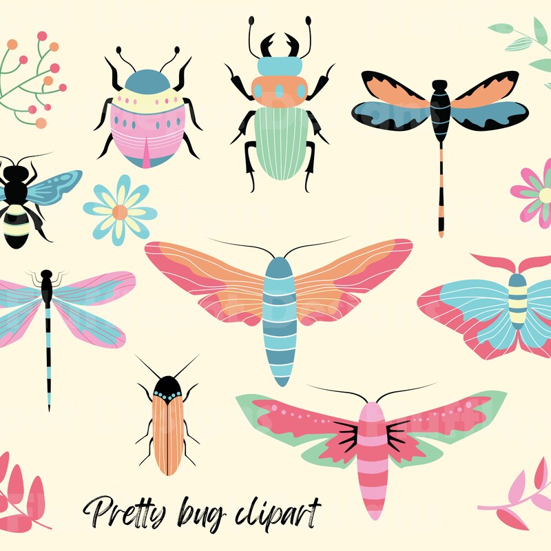 Bug Clipart - Etsy