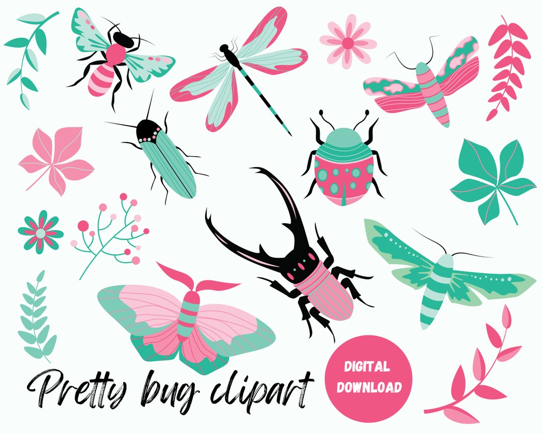 Pretty Bug Clipart, Cute Bug Clipart, Insects Clipart, Moth, Bee ...
