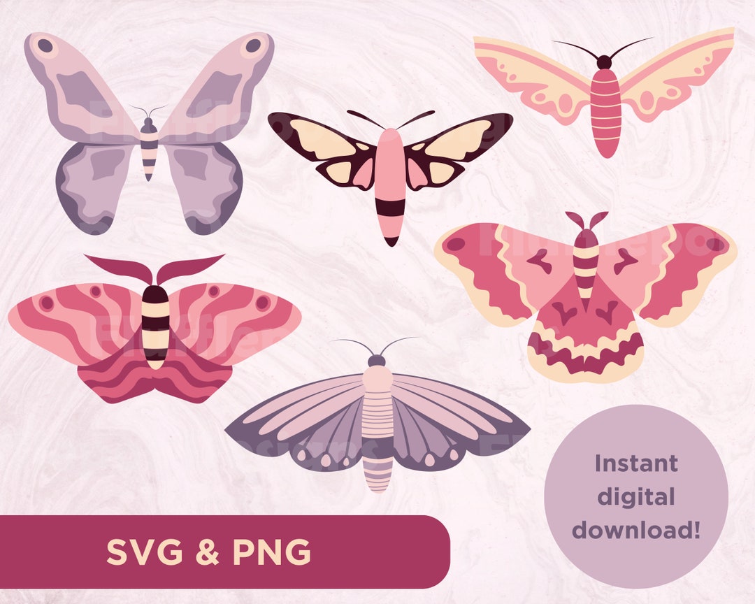 Pretty Moth Clipart, Beautiful Moth Svgs, Vector Moth Clipart, Moth ...