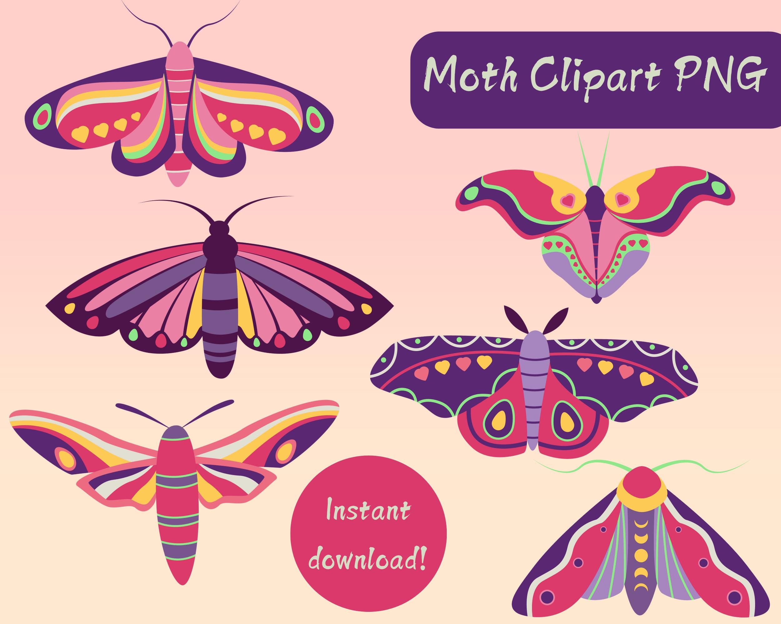 Colorful Moth Clipart: Hand-drawn Insect Pngs (digital Download) - Etsy