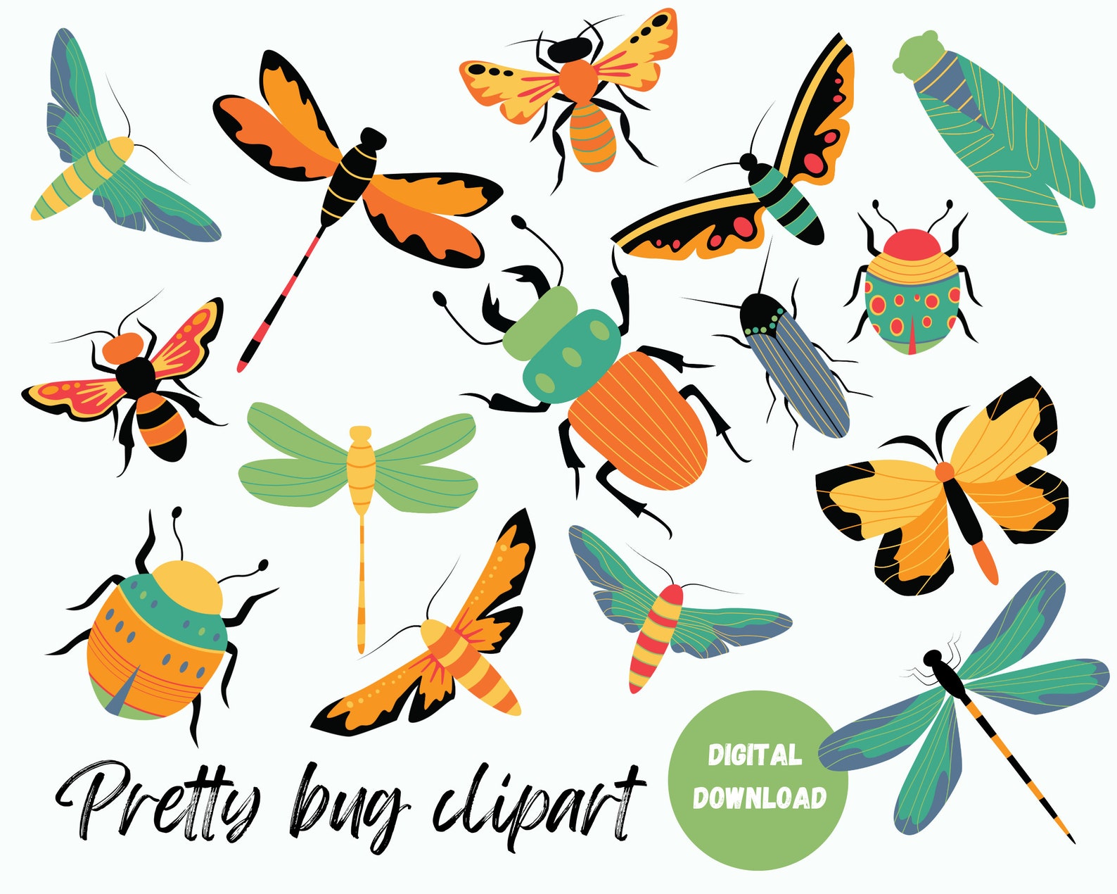 Colorful Bug Clipart Pngs: Bee, Moth, Dragonfly (digital Download) - Etsy