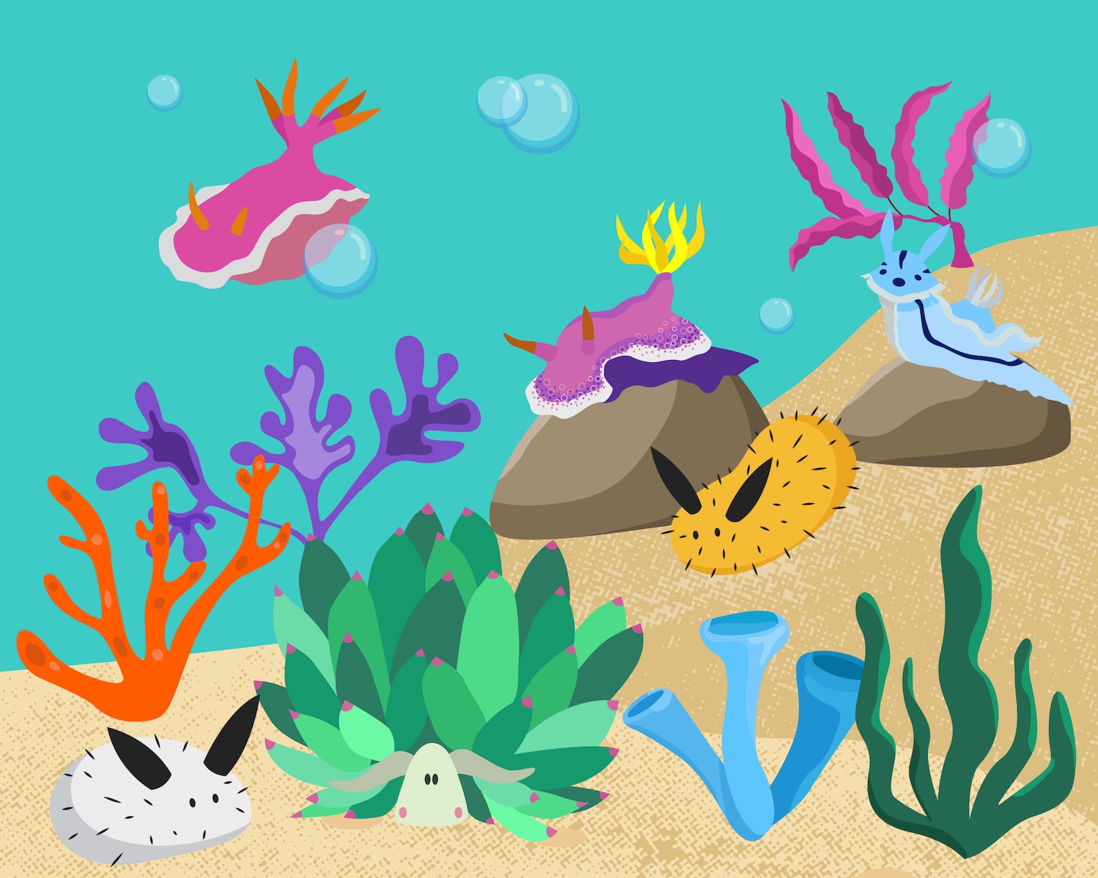 Cute Nudibranch Clipart, Instant Download, Sea Sheep, Printable, Leaf ...