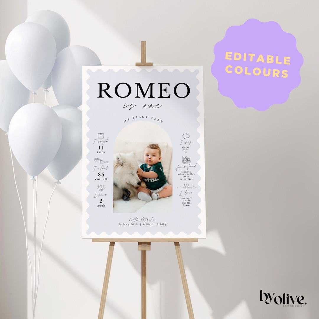 First Birthday - My First Year Poster - Editable Template - Etsy