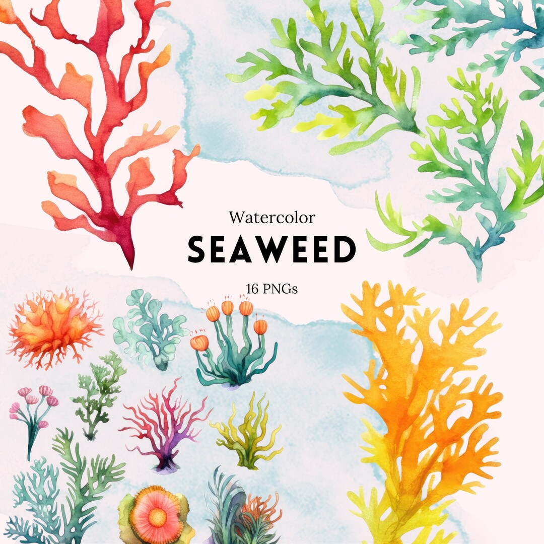 Watercolor Seaweed Clipart - Nautical Ocean Plants Commercial Use ...