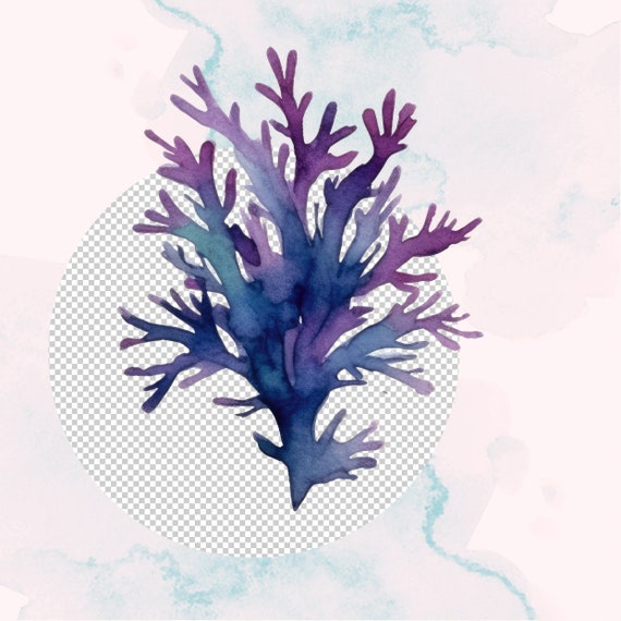 Plantas Oceanicas Dos Plantas Del Mar/del Océano Imagen De Archivo
