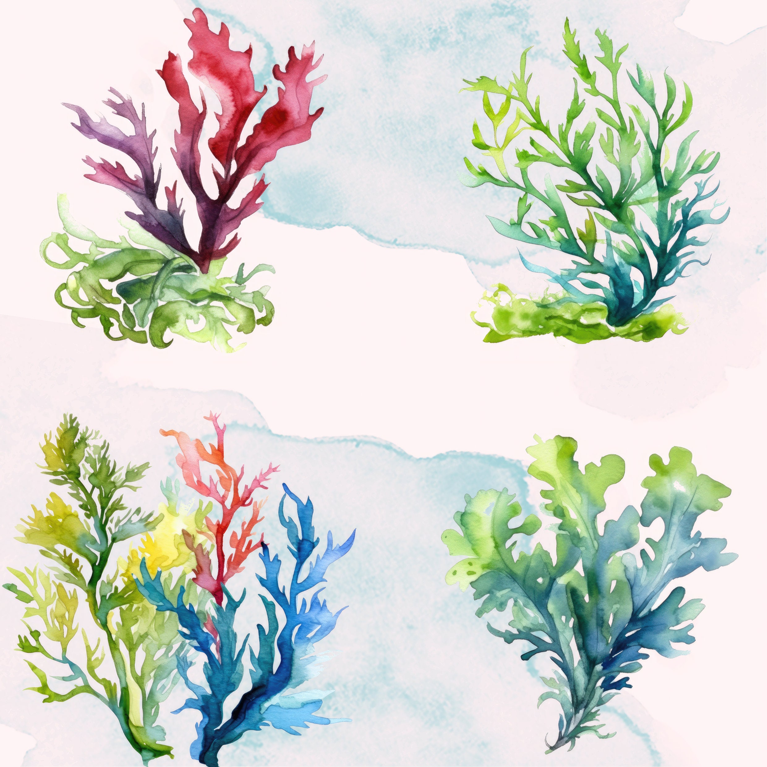 Watercolor Seaweed Clipart - Nautical Ocean Plants Commercial Use ...