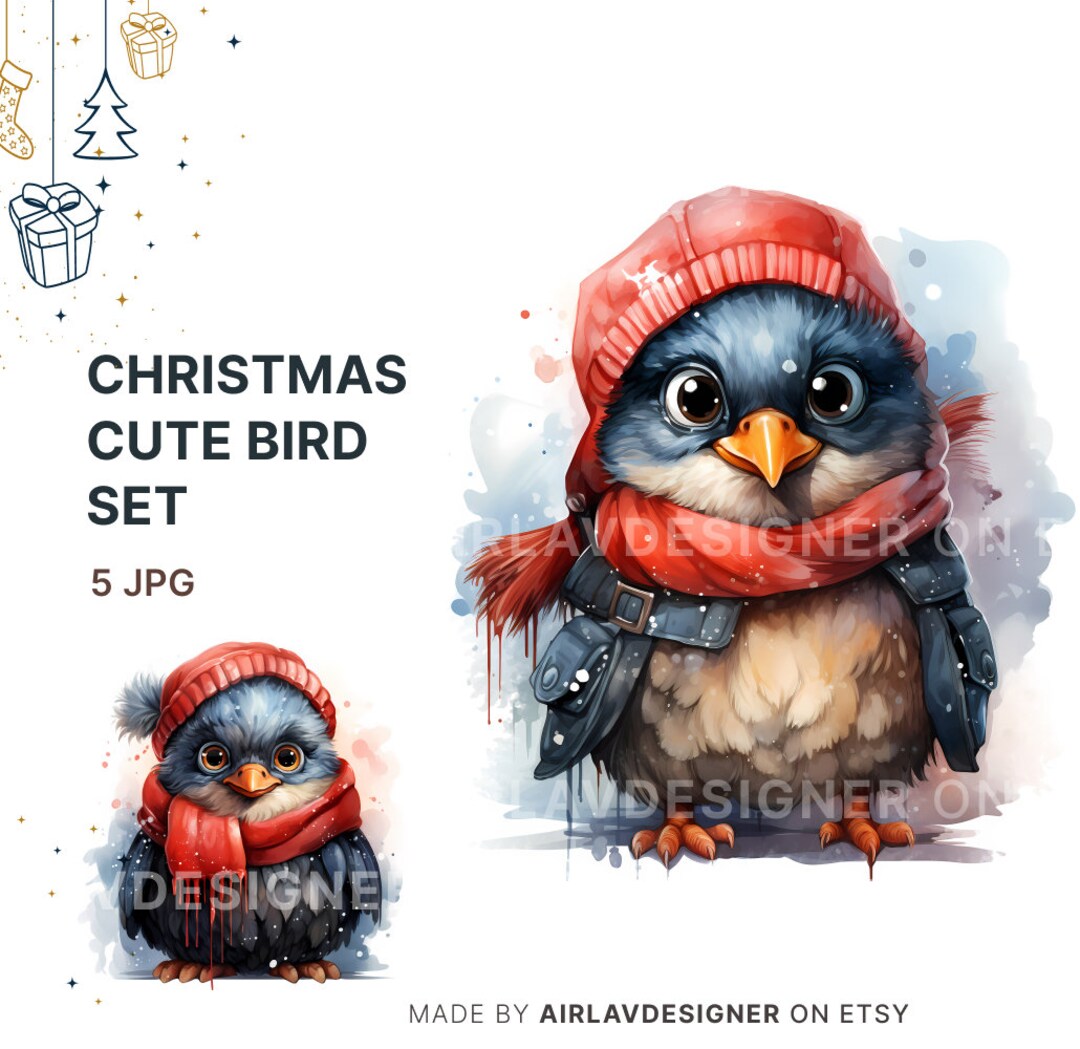 Christmas Bird Clipart Bundle Set of 5 High Quality Jpgs for Digital ...