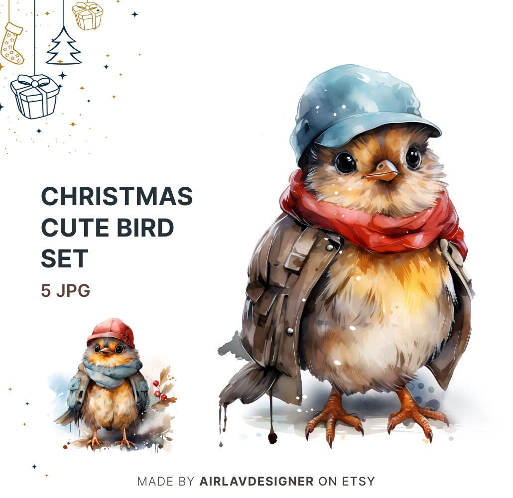 Whimsical Christmas Bird Clipart Bundle Instant Digital Download Set of ...