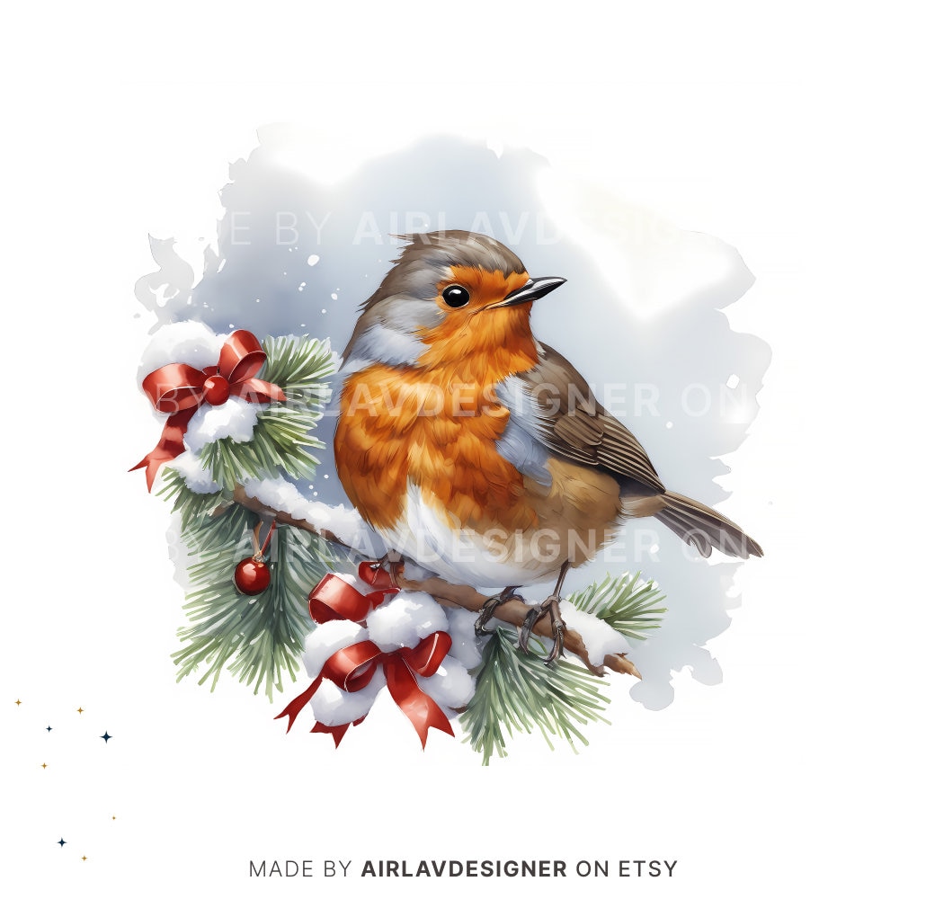 Winter Bird Clipart Bundle 5 High Quality Jpgs Digital Download for ...