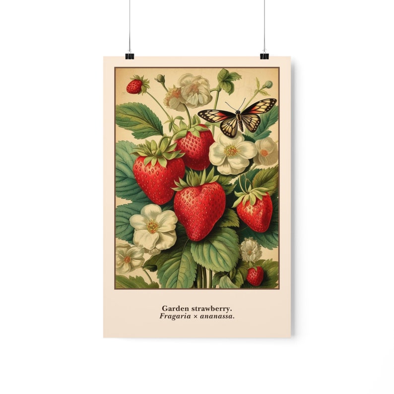 Vintage Strawberry Print, 12" × 18" Vintage Poster Gift, Strawberry ...