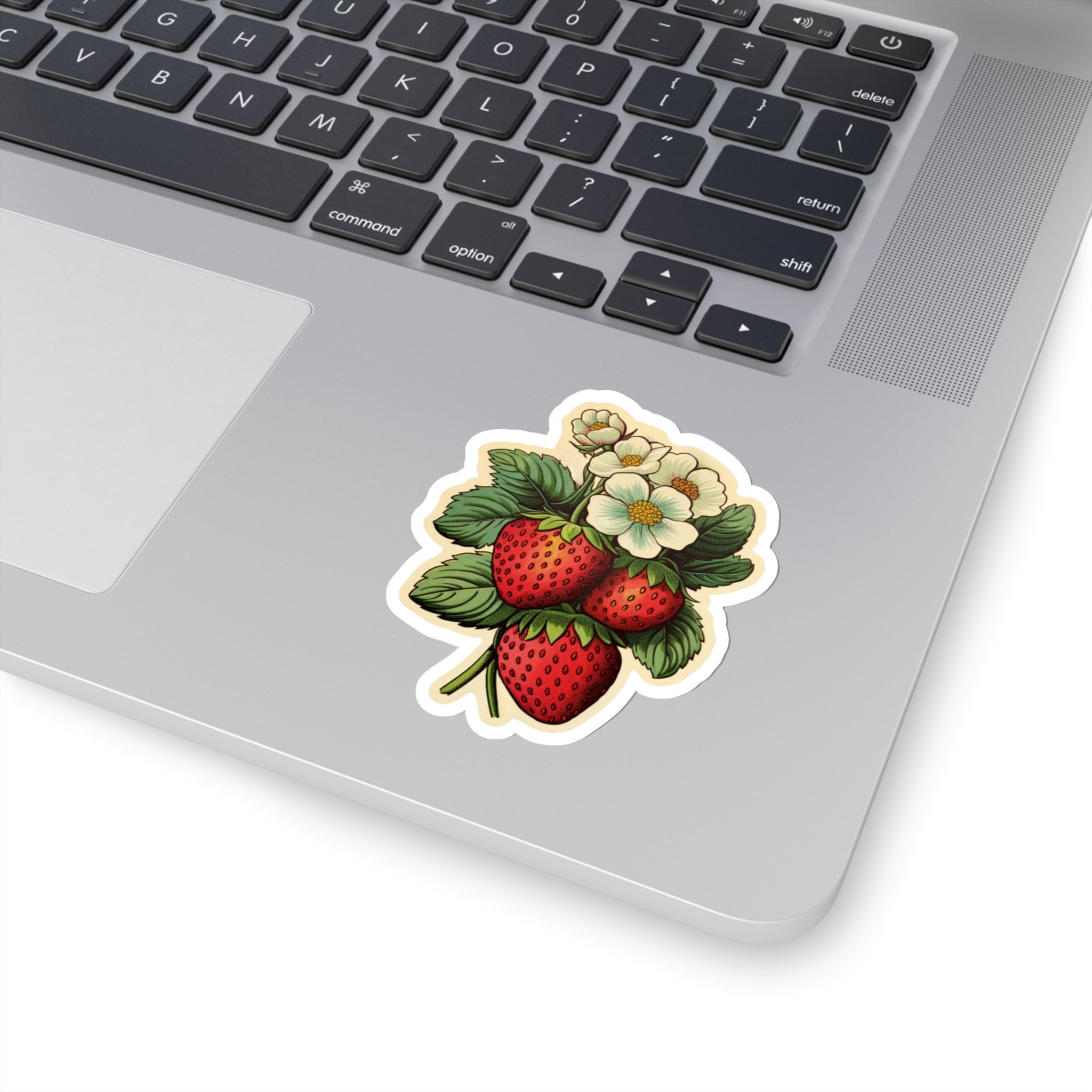Vintage Strawberry Sticker - Etsy