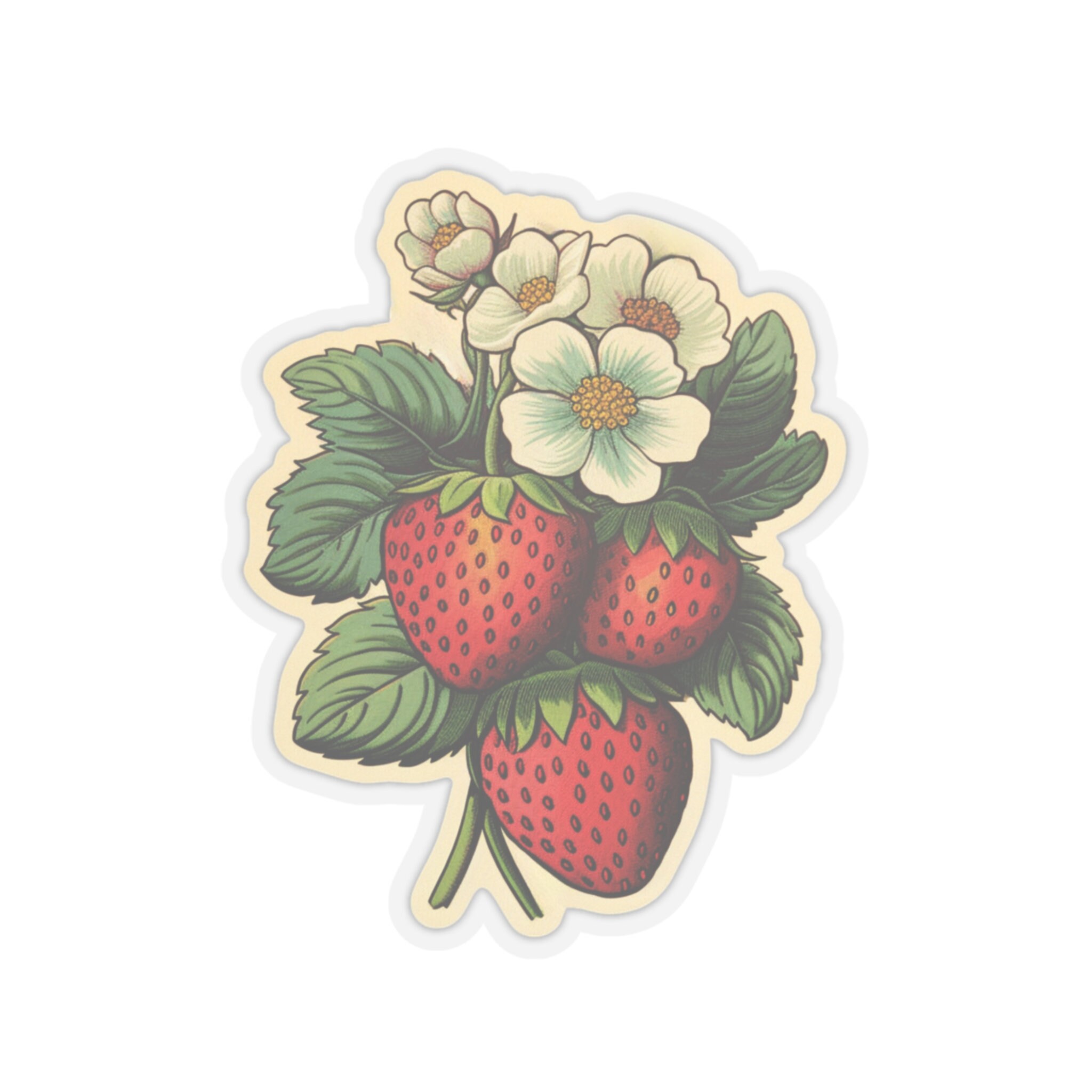 Vintage Strawberry Sticker - Etsy